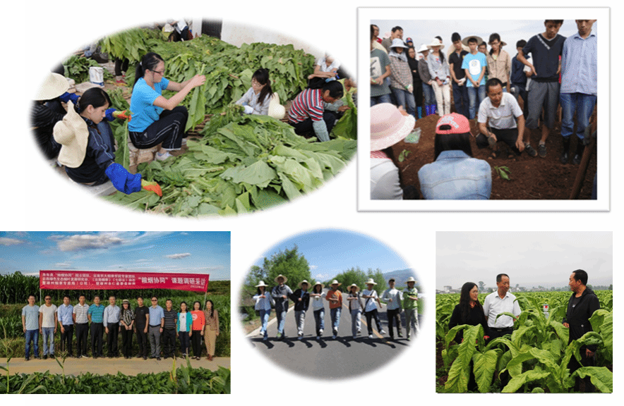 烟草学院-本科招生网