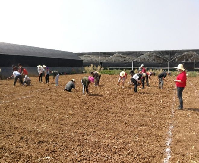 农学-本科招生网