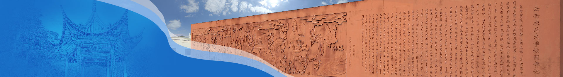 光影农大-本科招生网